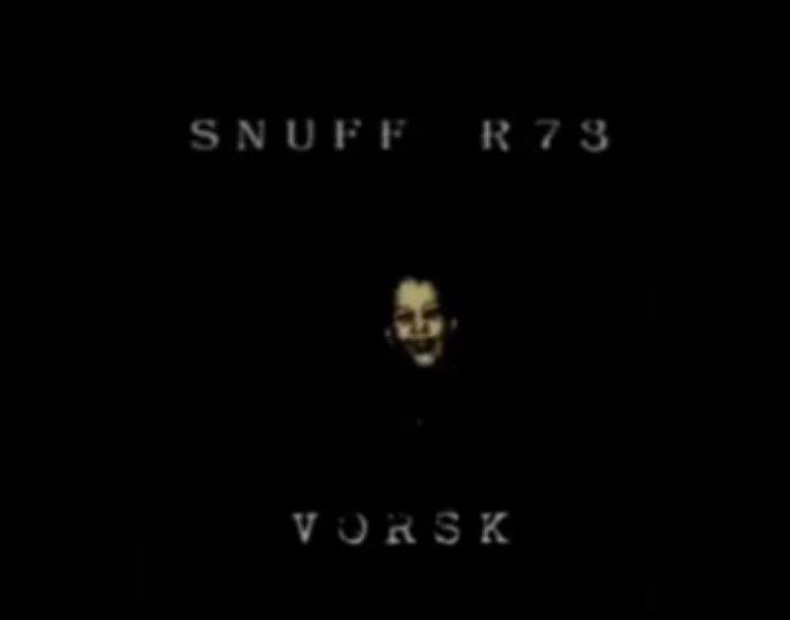 Snuff R73 真实虐杀混音带 - 共闻会
